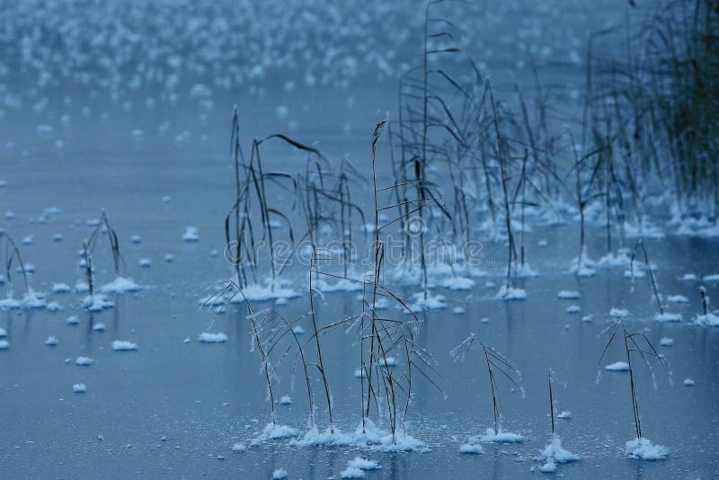 Frozen lake stock photo. Image of clear, frozen, crack - 69336138