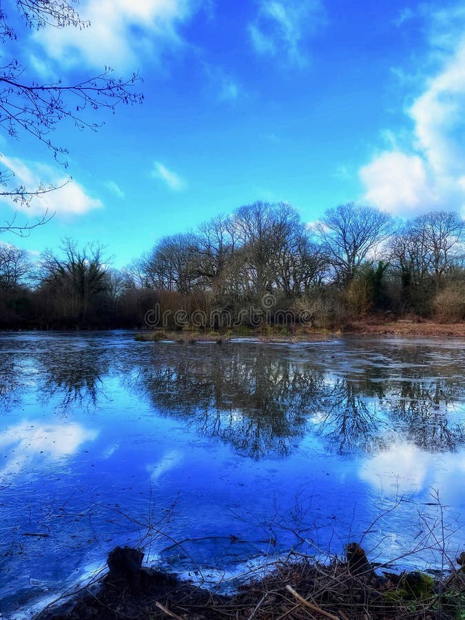 Reflections of Trees in a Lake Stock Image - Image of reflections ...