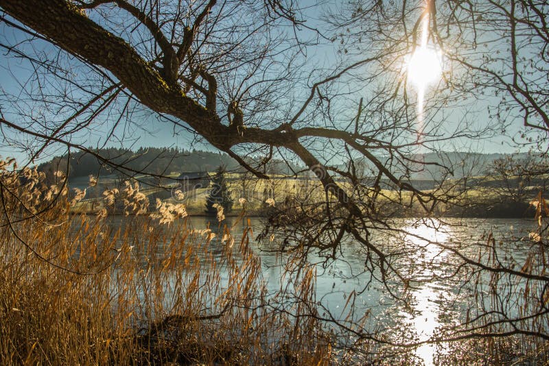 A frozen lake stock photo. Image of branch, panoramic - 87370610