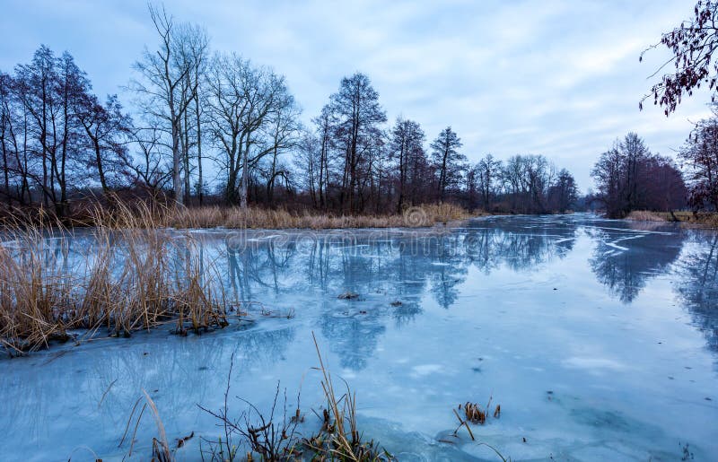 Frozen Lake in Winter Forest Stock Image - Image of scene, blue: 135319515