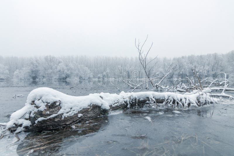 Frozen Lake in Winter, Winter Lake Scene Reflecting in the Water Stock ...