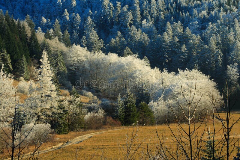 Frozen Landscape Picture. Image: 1926565