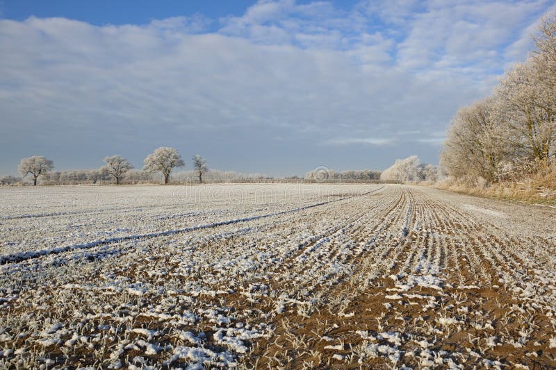 Antique farm equipment stock image. Image of homestead - 25680491