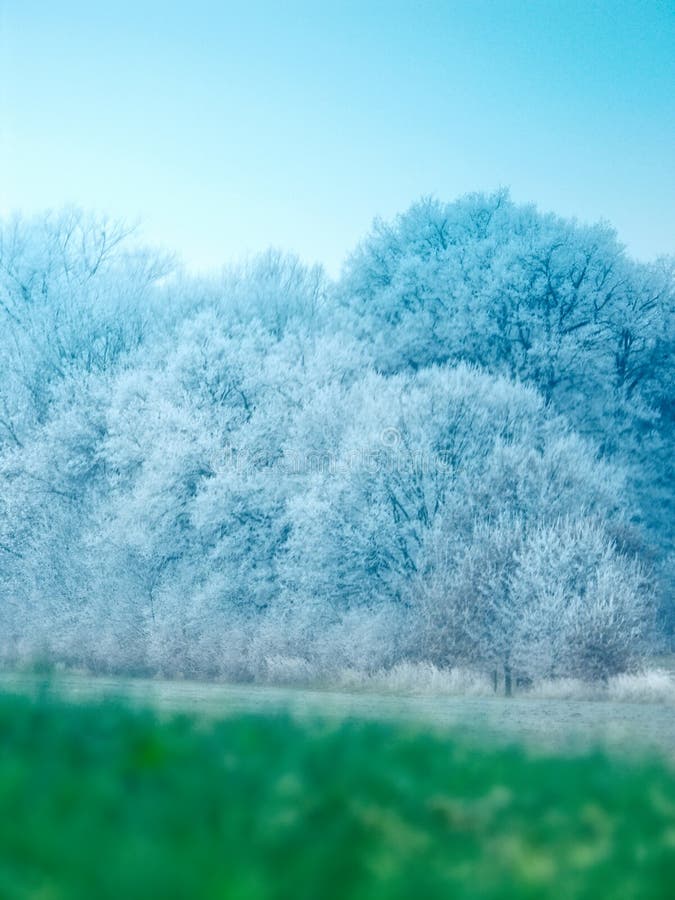 Frozen Landscape on Mountain Stock Image - Image of quiet, winter ...