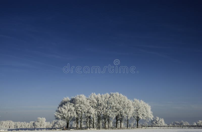 Frozen landscape stock image. Image of winter, frozen - 7697931