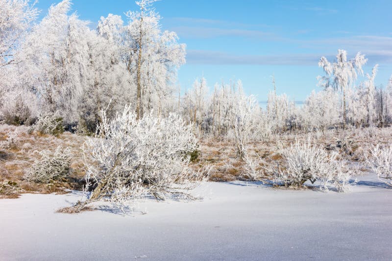 Frozen landscape stock photo. Image of hoarfrost, frozen - 36839020