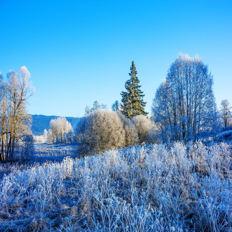 Frozen landscape stock image. Image of lawn, hills, environment - 45036579