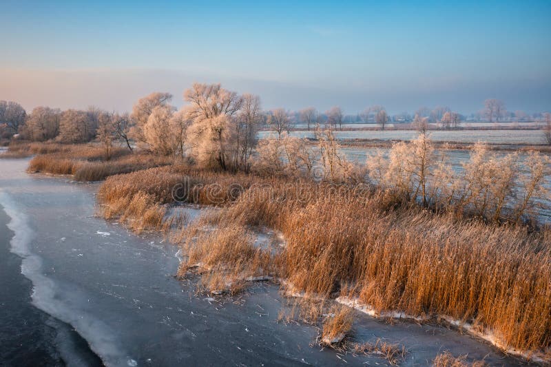 Frozen Landscape of Vistula Fens, Poland Stock Photo - Image of winter ...