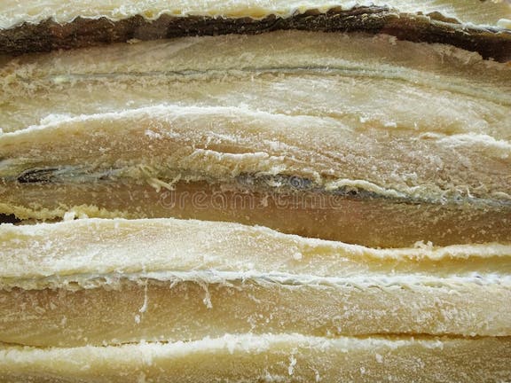 Frozen Layers of Salted Cod Fish Stock Photo - Image of winter, stack ...