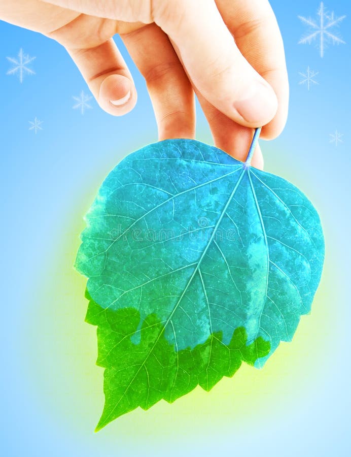 Frozen leave and hand stock photo. Image of floral, background - 4754078
