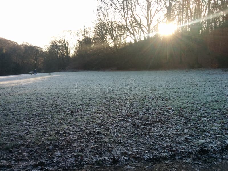 Frozen Leaves Cold Winter Frost Hard Ground Stock Photo - Image of ...