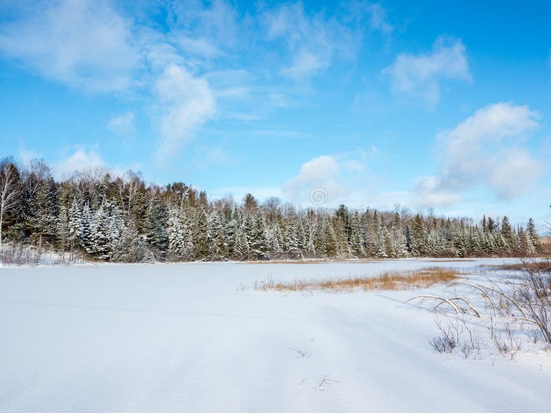 Frozen Marsh Land stock photo. Image of marsh, rural - 85142102