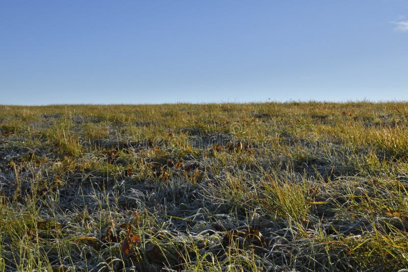 Frozen meadow and blue sky stock image. Image of nature - 80037891