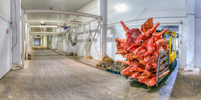 Frozen meat at a storage stock photo. Image of butcher - 89111492