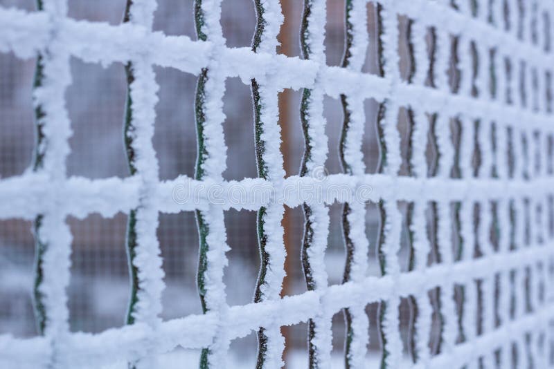 Frozen Metal Iron Net Grid Covered with Frost in Winter Stock Photo ...
