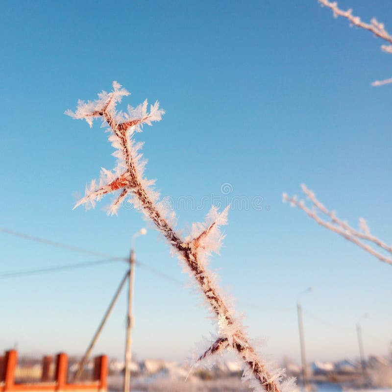 Icy day stock image. Image of wind, field, agriculture - 230948249