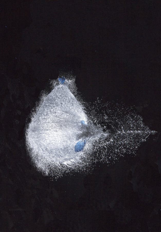 Frozen Motion Of A Water Balloon Explosion, High Speed Photography ...