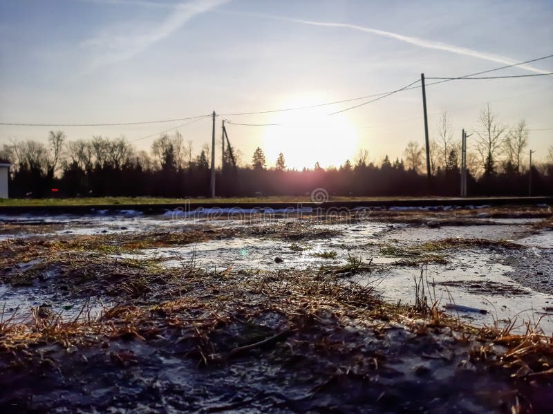 Frozen Mud at the Beginning of Winter in the Daytime Stock Photo ...