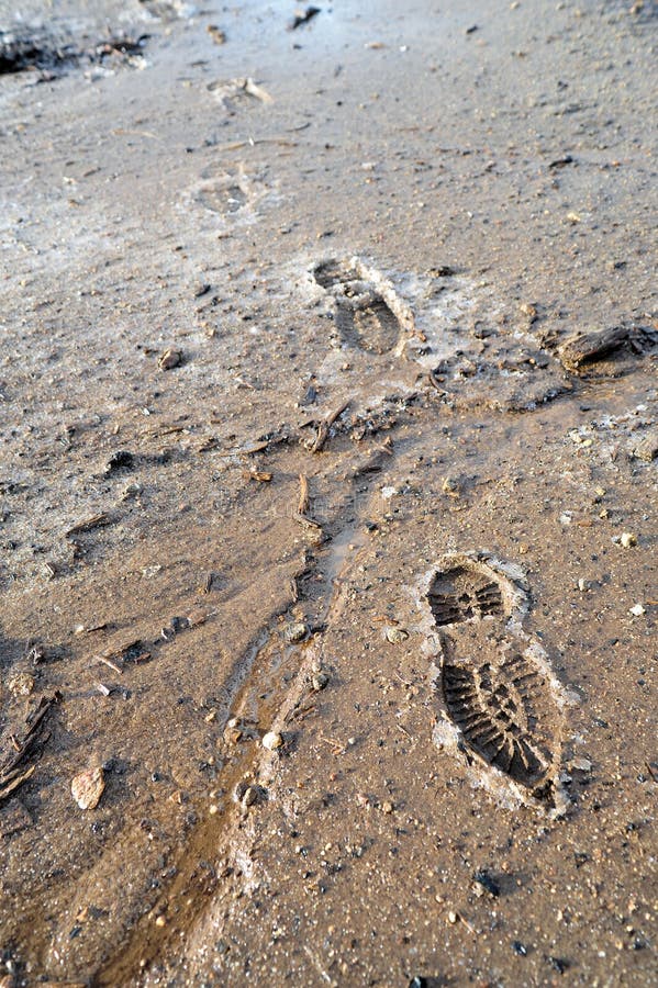 Frozen Mud and Boot Prints stock photo. Image of footprint - 7025914