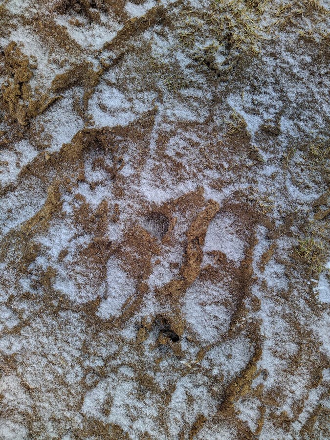 Frozen Mud with Footprints in the Daytime Stock Photo - Image of nature ...