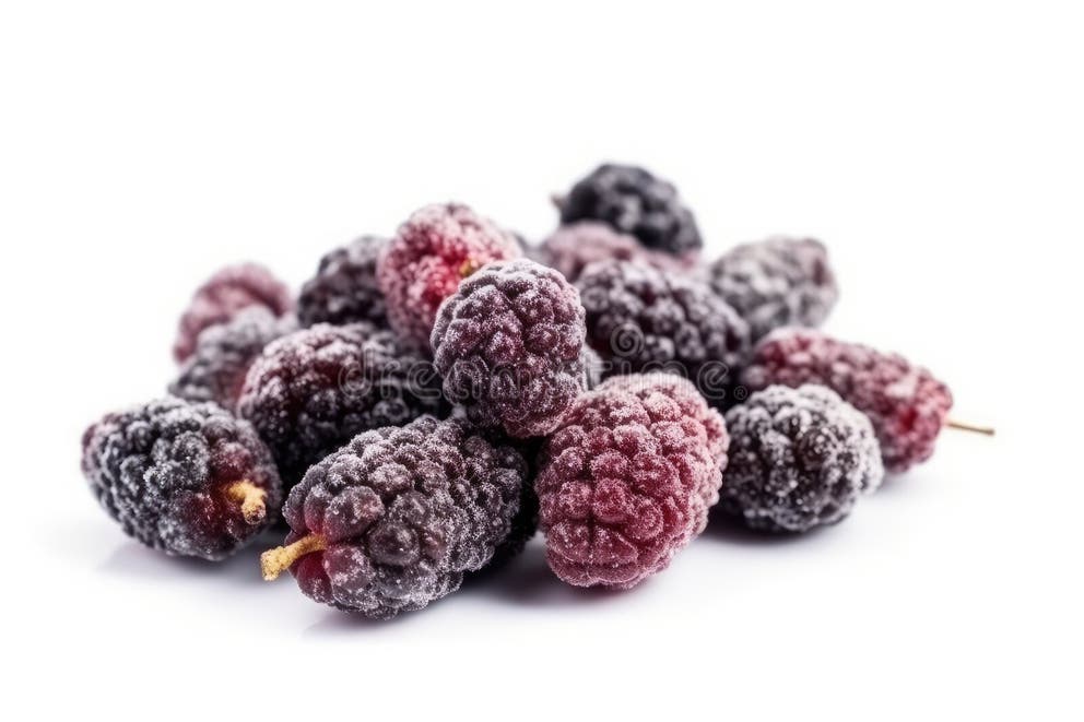 Frozen Mulberries on White Background. Generative AI Stock Illustration ...