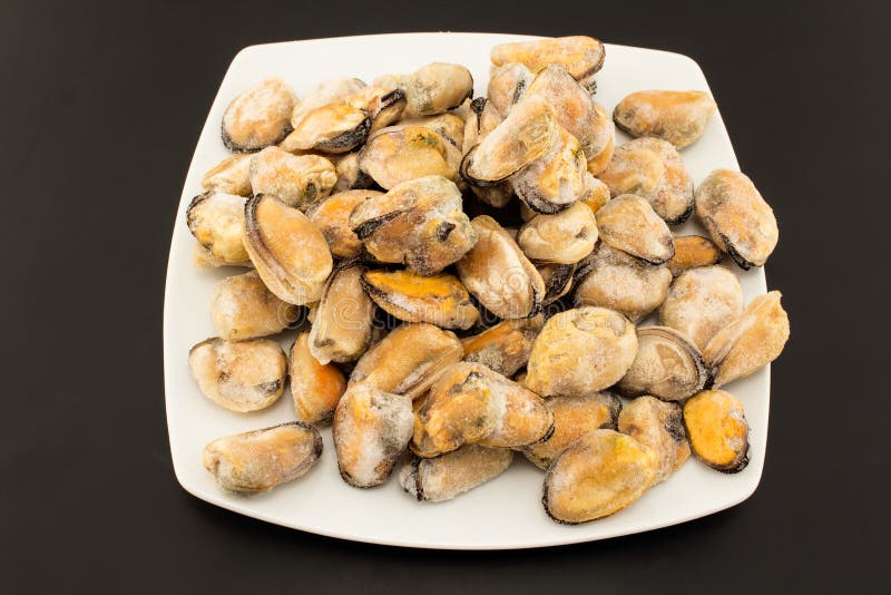 Frozen Mussels on a Plate stock photo. Image of eating - 79999936