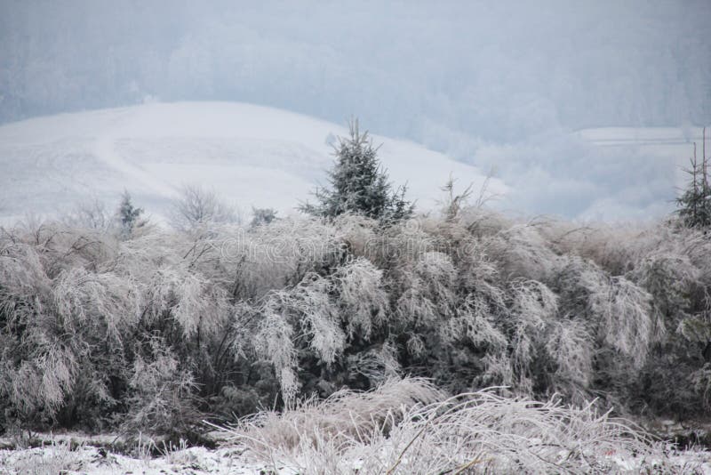 Frozen nature stock image. Image of nature, winter, white - 75769457