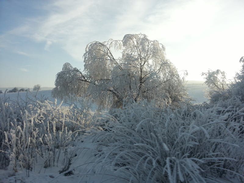 Frozen nature stock photo. Image of freezing, winter - 47673032