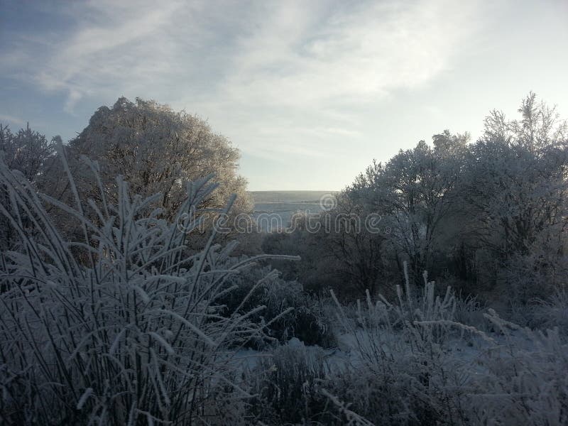 Frozen nature stock image. Image of frozen, snow, branch - 47673035