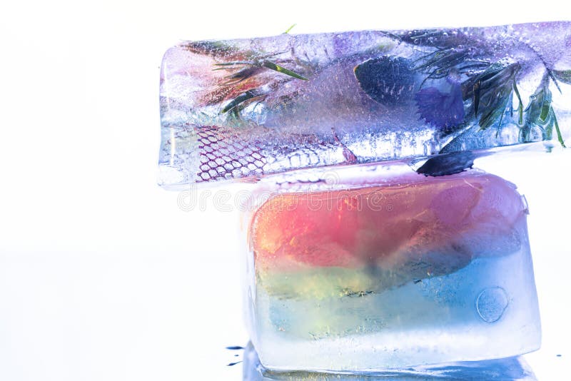 Frozen Objects in Ice Cubes on White Background Stock Image - Image of ...