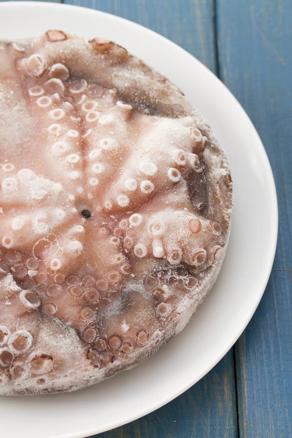 Frozen octopus stock photo. Image of dietary, frozen - 49211556