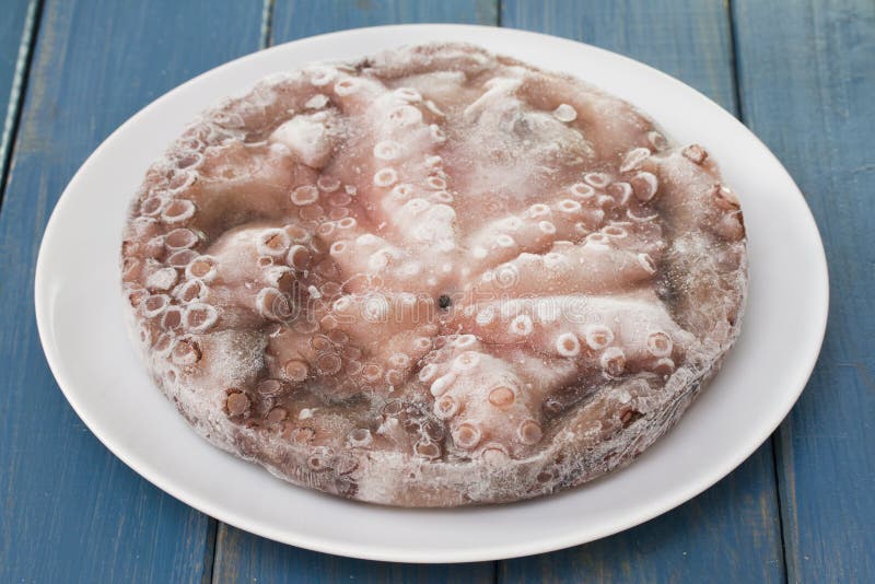 Frozen octopus stock photo. Image of dietary, frozen - 49211556