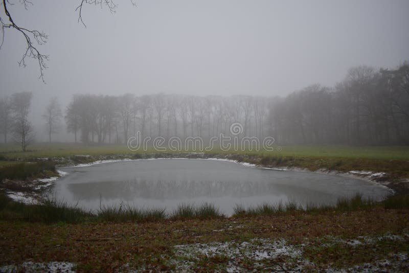 Frozen Over Fen in a Forest Stock Photo - Image of frozen, snow: 134525962
