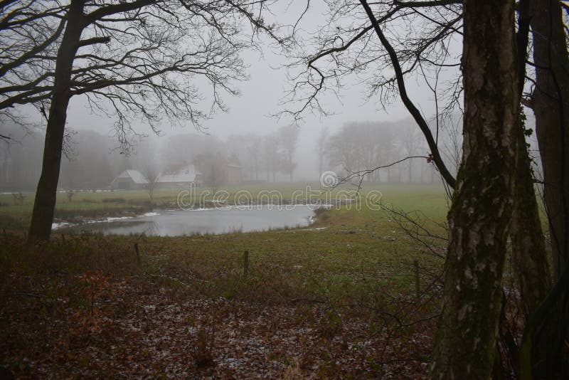Frozen Over Fen in a Forest Stock Photo - Image of snow, winter: 134526018