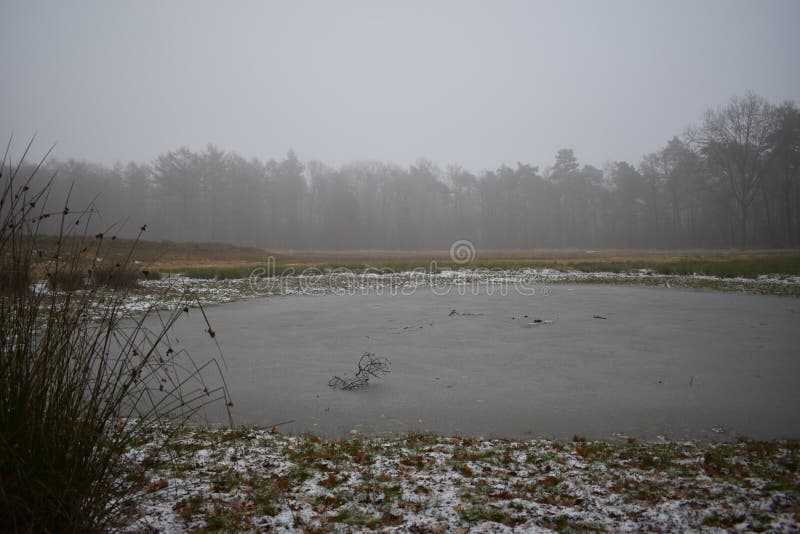 Frozen Over Fen in a Forest Stock Image - Image of clouds, forest ...