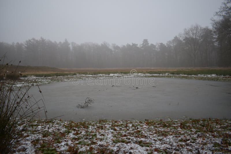 Frozen Over Fen in a Forest Stock Photo - Image of winter, dutch: 134524618