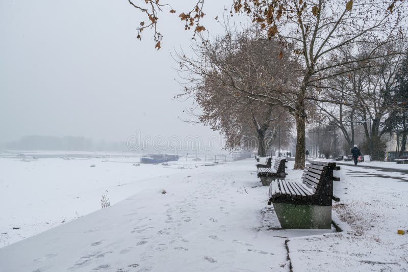 Frozen Pathway in the Park by the River on a Winter Day Stock Image ...