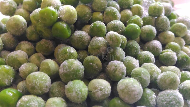 Frozen Peas stock photo. Image of frozen, green, peas - 97954768