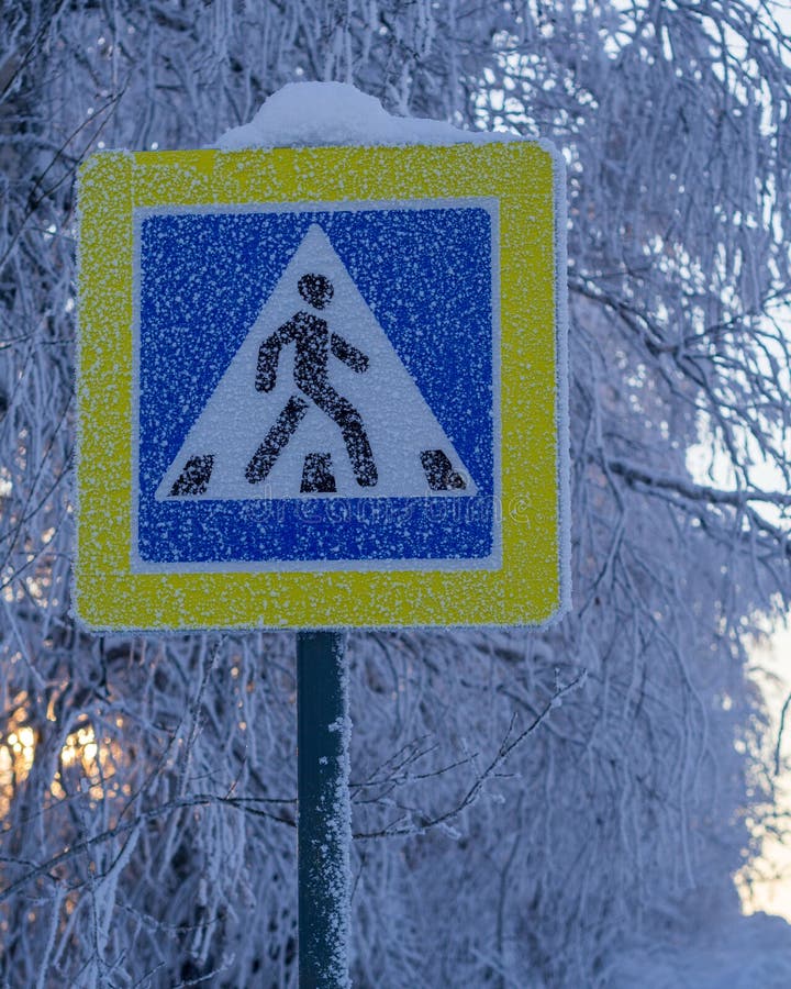 Frozen Pedestrian Sign Covered with Frost in Severe Frost Stock Photo ...