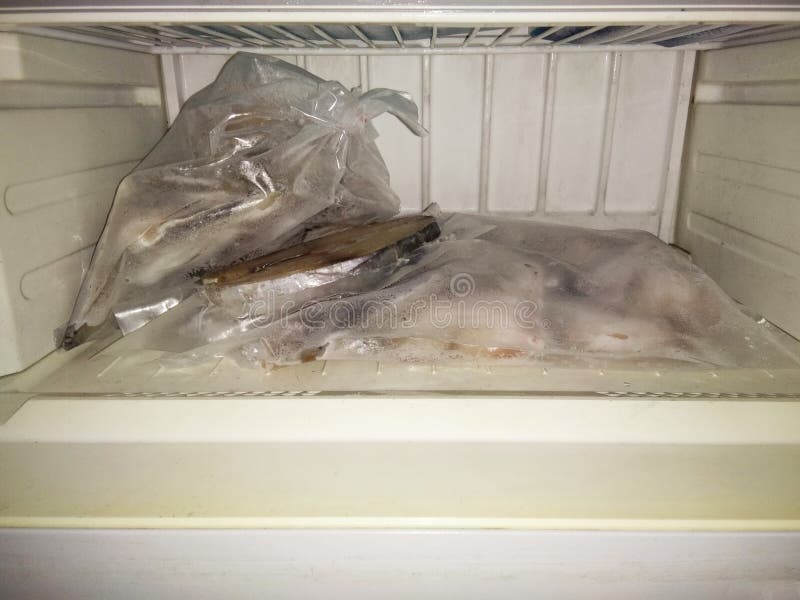 Frozen pieces of fish stock photo. Image of background - 133122414