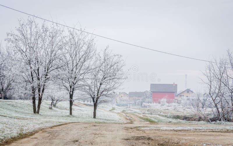Frozen Plants in the Fall. the First Frost on Dry Meadow Plants Stock ...