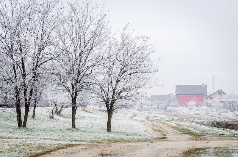 Frozen Plants in the Fall. the First Frost on Dry Meadow Plants Stock ...