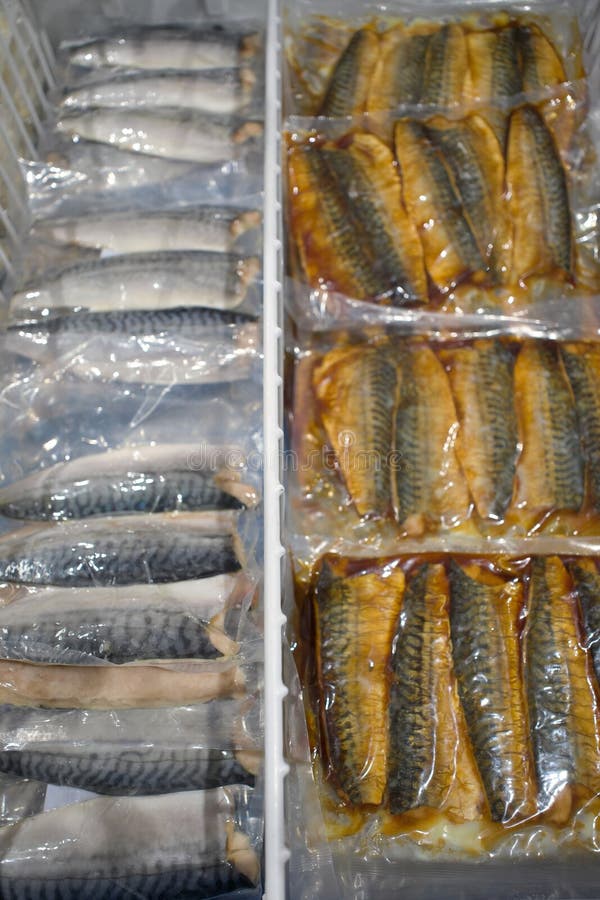Frozen Plastic Retail Packed Mackerel Fish Stock Image - Image of ...