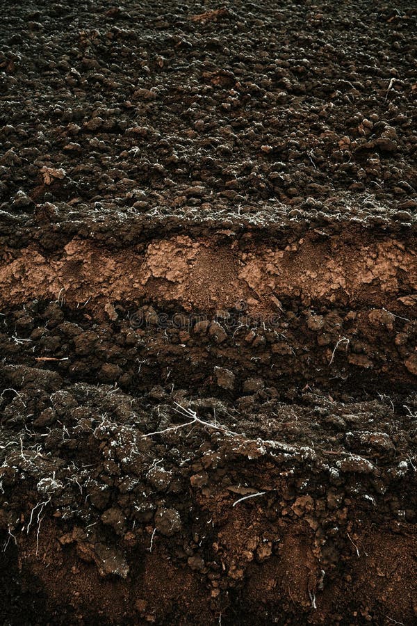 Frozen Plowed Field Soil in Winter Stock Photo - Image of soil ...