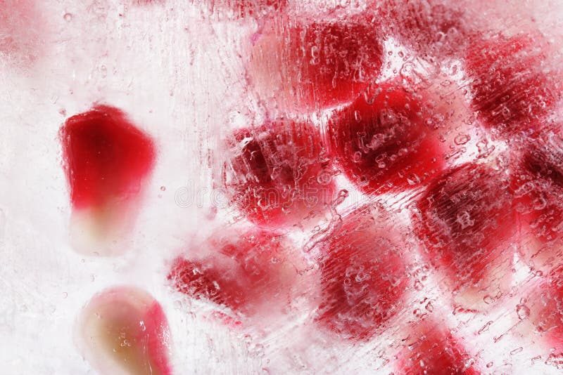 Frozen pomegranate seeds. stock photo. Image of cold, close - 3818522