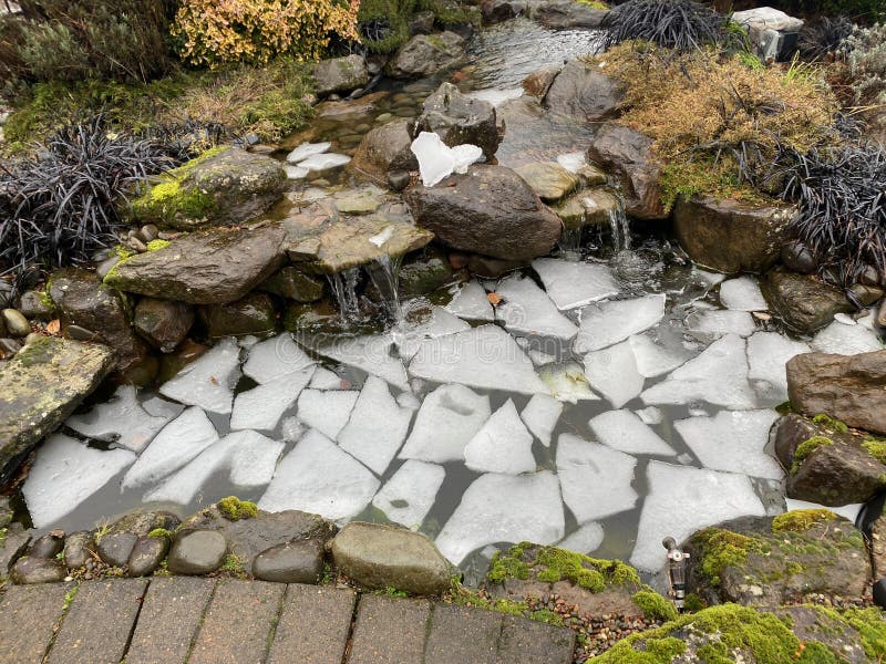 Frozen Pond with Broken Ice Spring Thaw in Backyard Pond Stock Photo ...