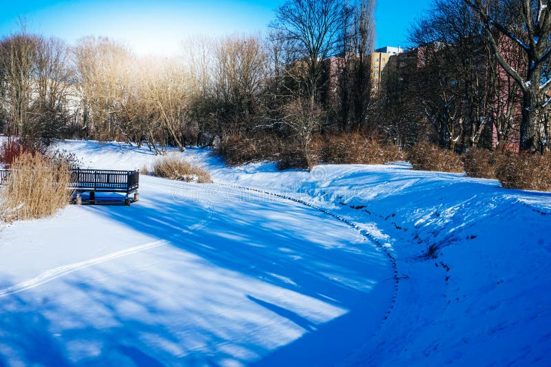 Frozen Pond in Winter, Park Stock Image - Image of hdri, szczesliwice ...