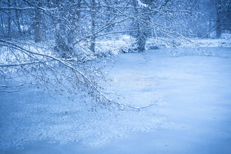 Frozen Pond Deep in a Forest Environment after a Fresh Snowfall. Stock ...