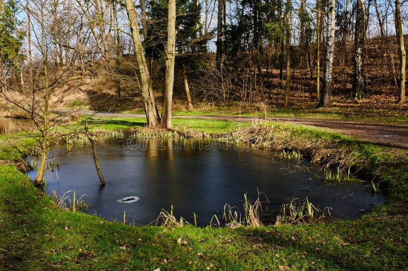 Frozen Pond in Early Spring Stock Image - Image of pond, trees: 277025657