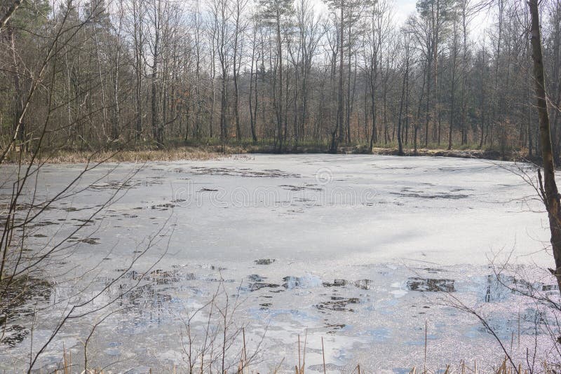 Frozen Pond in the Forest in Early Spring Stock Image - Image of wood ...